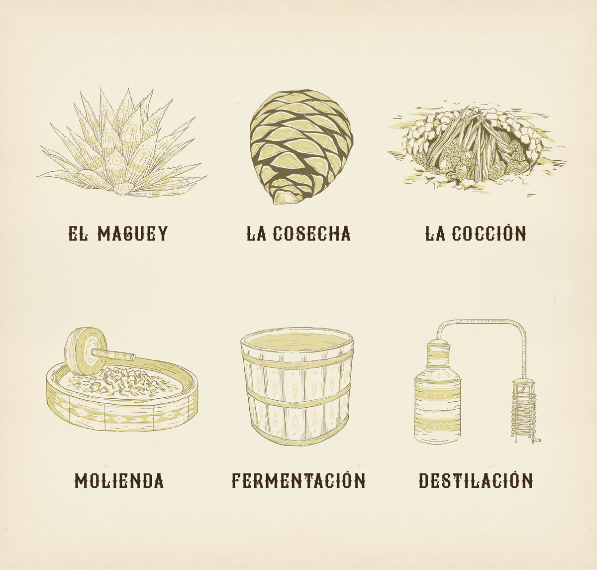 Elaboración de nuestros mezcales – Origen Raiz